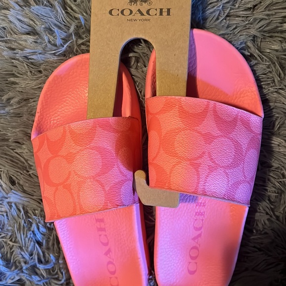 Coach | Shoes | Coach Sandals Brand New 7 | Poshmark